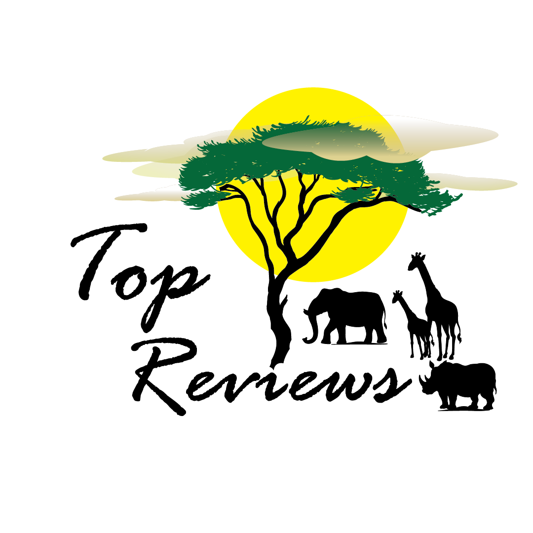 Top 5 South African Consulting Firms with Top Experts [2026 ]