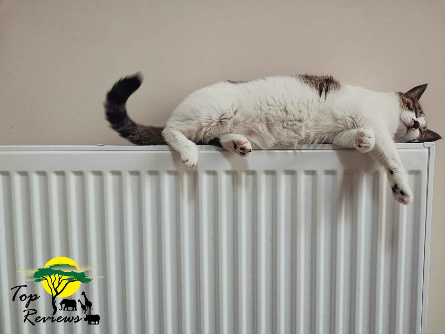 Top Radiator Repair Service Providers in Johannesburg [2025 ]