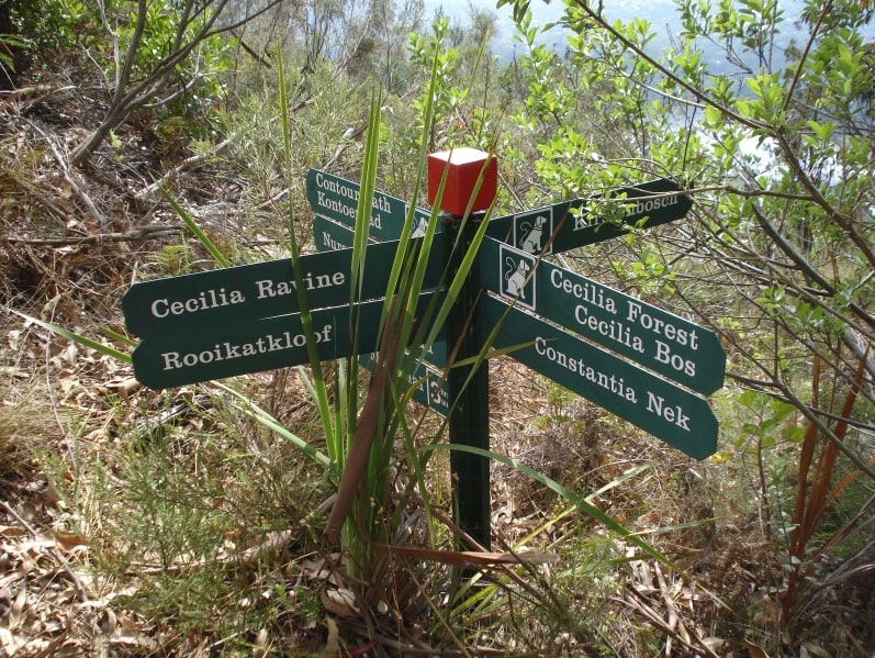 Everything You Need to Know Before Going On a Hike at Cecilia Forest [2026]