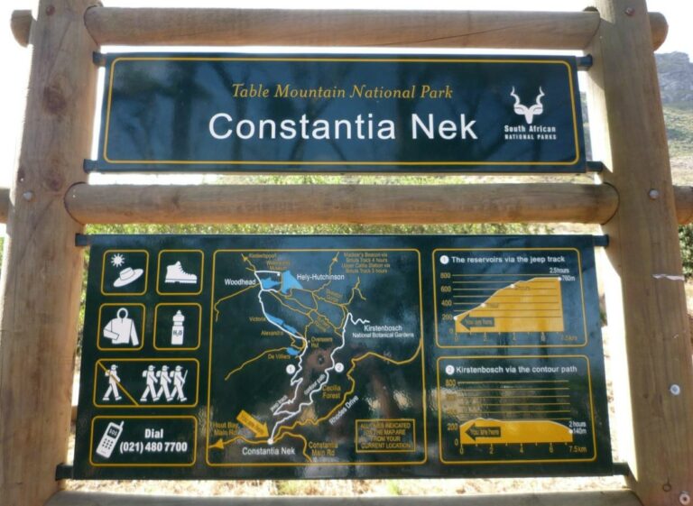Everything You Need to Know Before Going On a Hike at Cecilia Forest [2026]