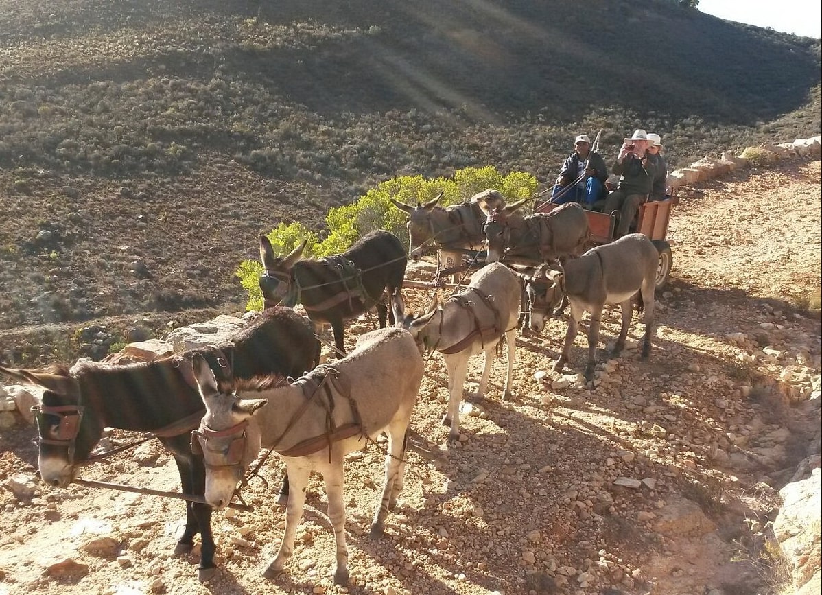 10 Epic Overnight Hiking Trails in Western Cape [2025]