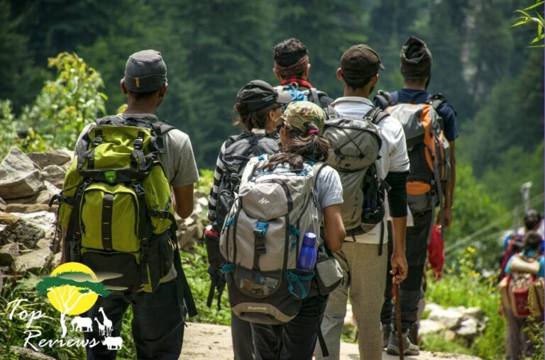 Everything You Need to Know Before Going On a Hike at Cecilia Forest [2026]