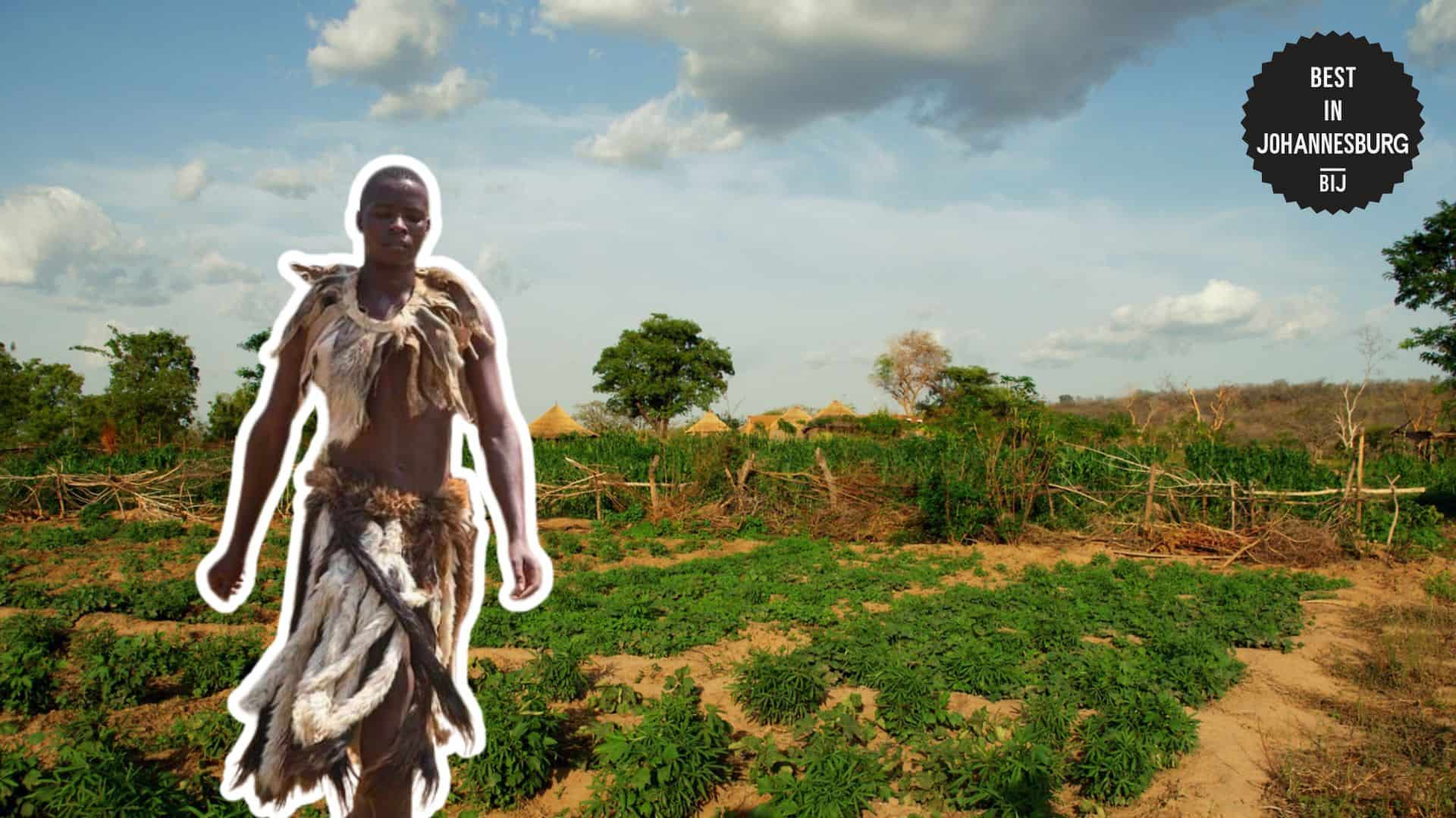 South Africa’s Best Traditional Clothing [2025]