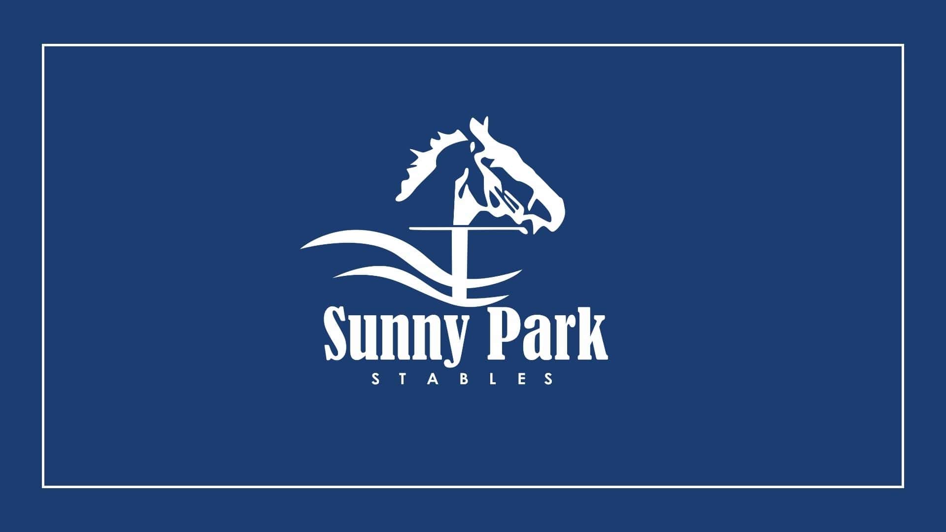 Buying a Horse in SA: A Step-by-Step Guide [2025]