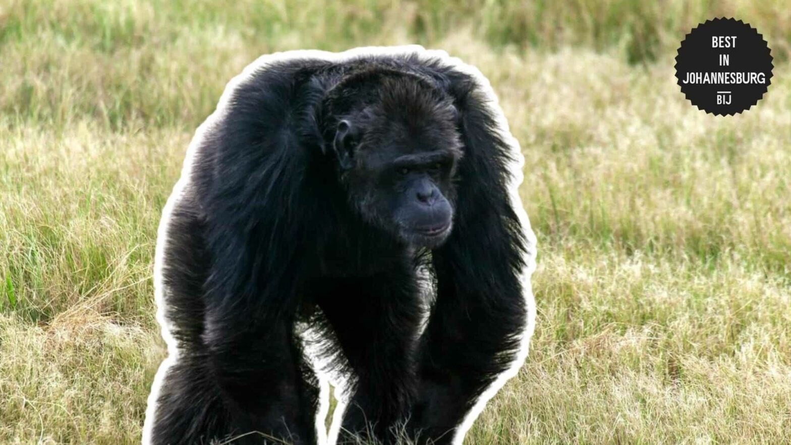 Your Guide to Great Activities in Nelspruit [2025]