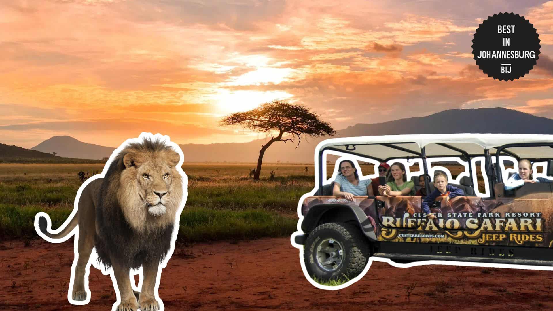 Your Guide to Great Activities in Nelspruit [2026]
