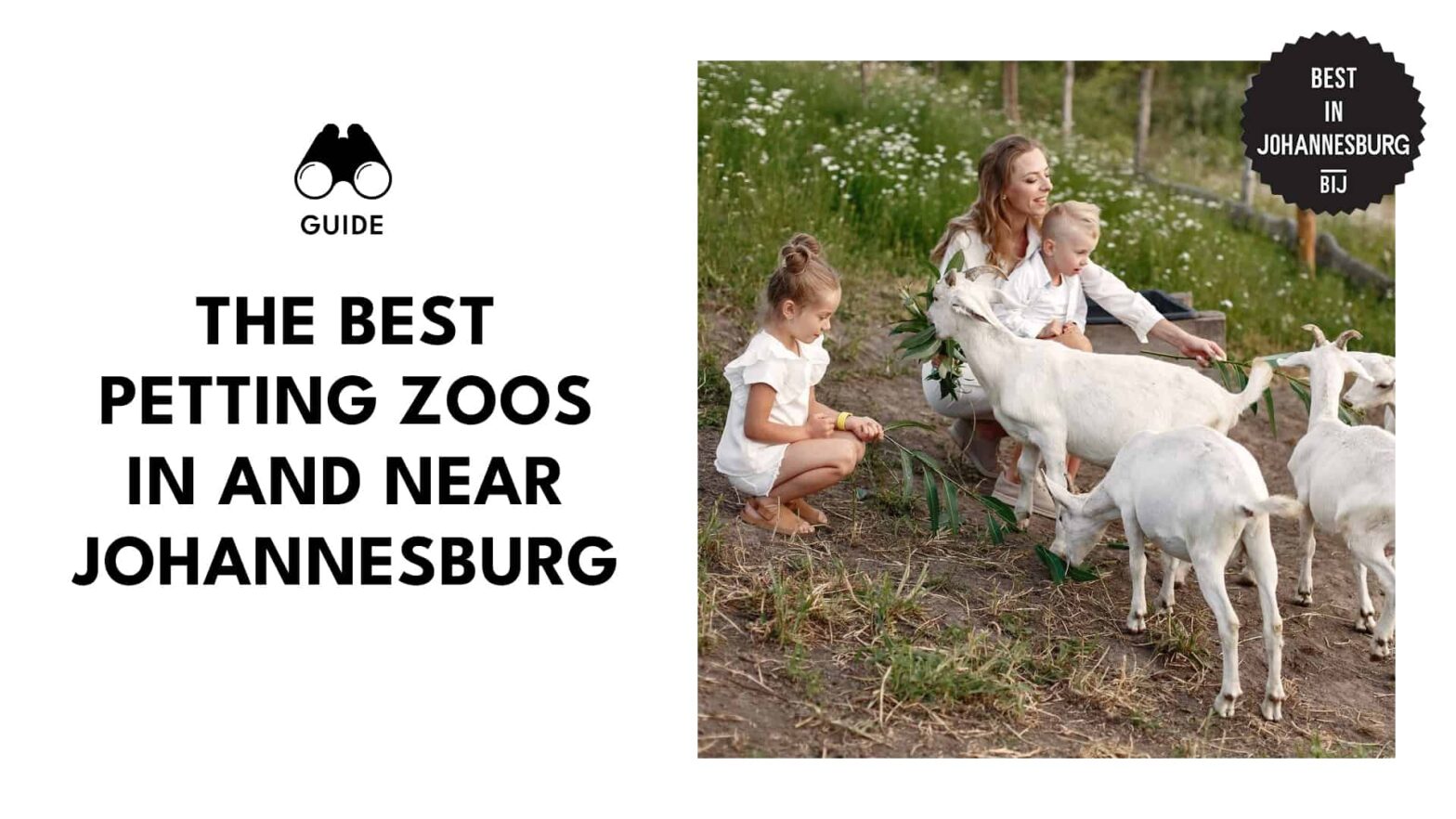 Animal Lover’s Paradise: Johannesburg’s 10 Best Petting Zoos [2026 ]