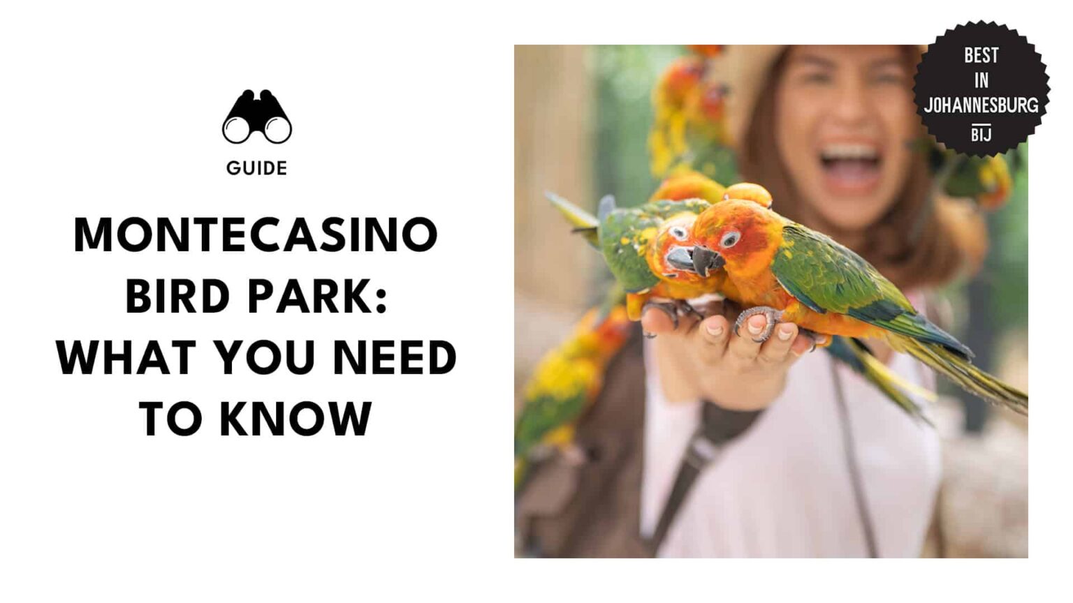 What You Need to Know About Montecasino Bird Park [2026]