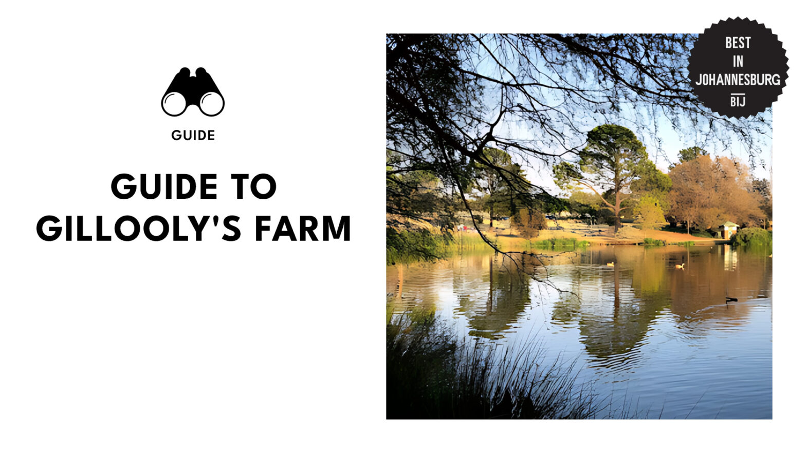 Complete Guide to an Adventure at Gillooly's Farm