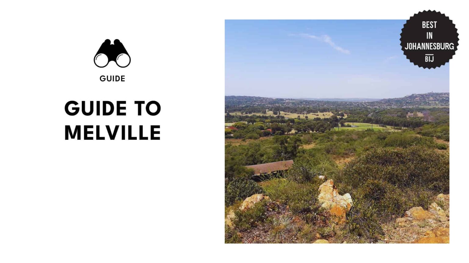 The Savvy Traveler's Handbook to Melville